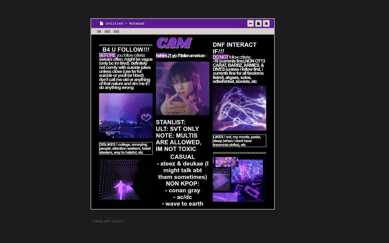 cams cybercore carrd